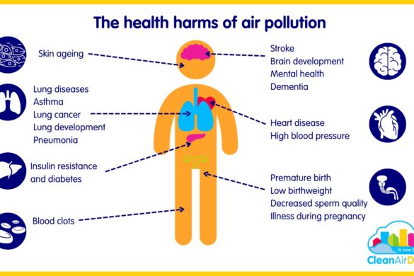 How pollution affects air quality and health - The Word Newspaper